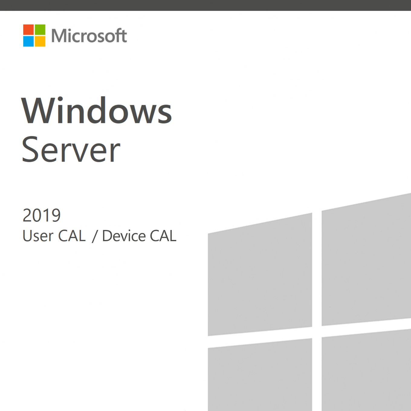 Windows Server 2019 User CALs/Device CALs - SwissBuy24 (SwissSoftware24)