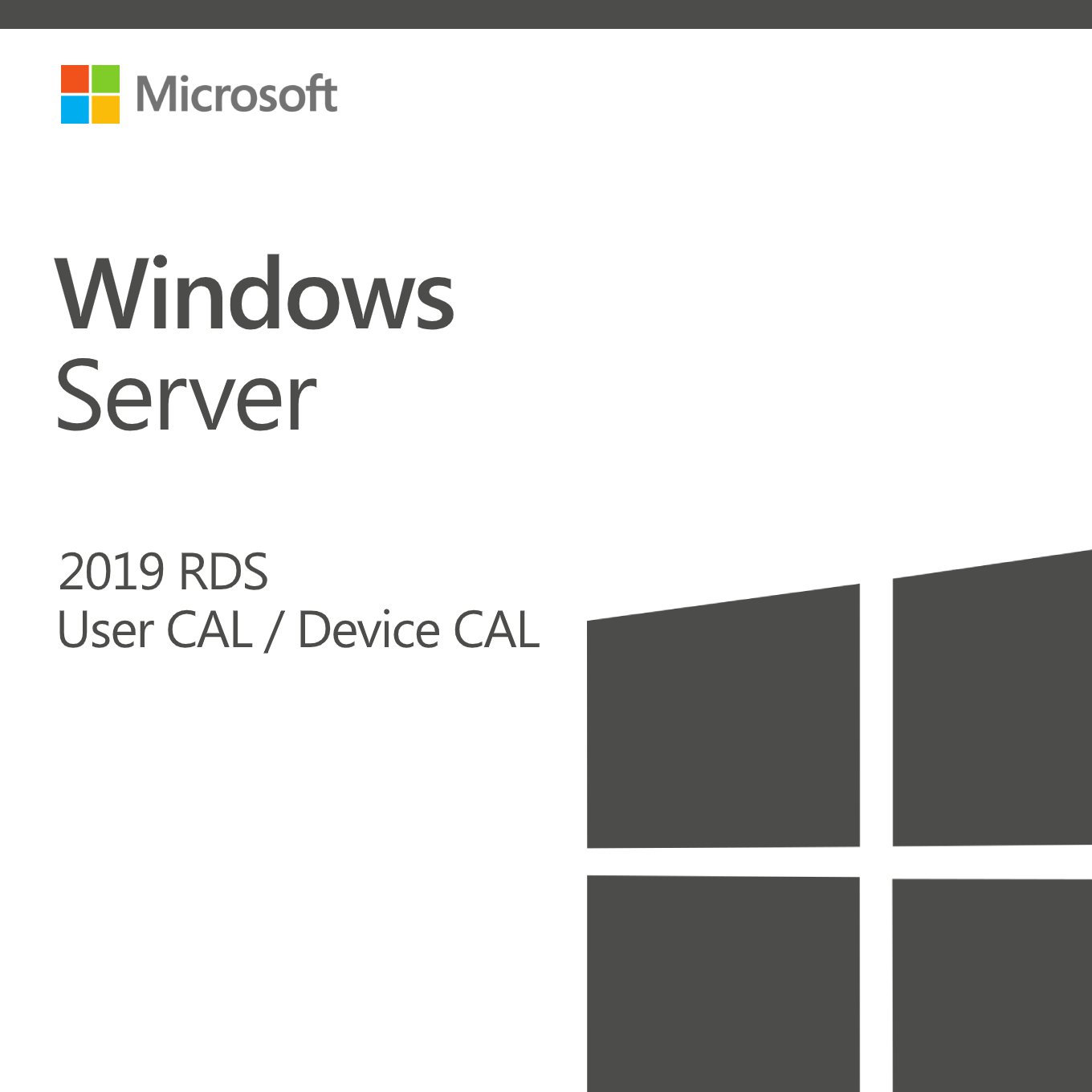 Windows Server 2019 RDS Device CALs / User CALs - SwissBuy24 ...