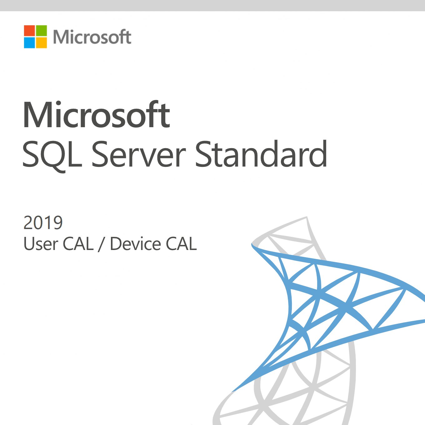 Microsoft SQL Server 2019 Standard User/Device CALs - SwissBuy24 ...
