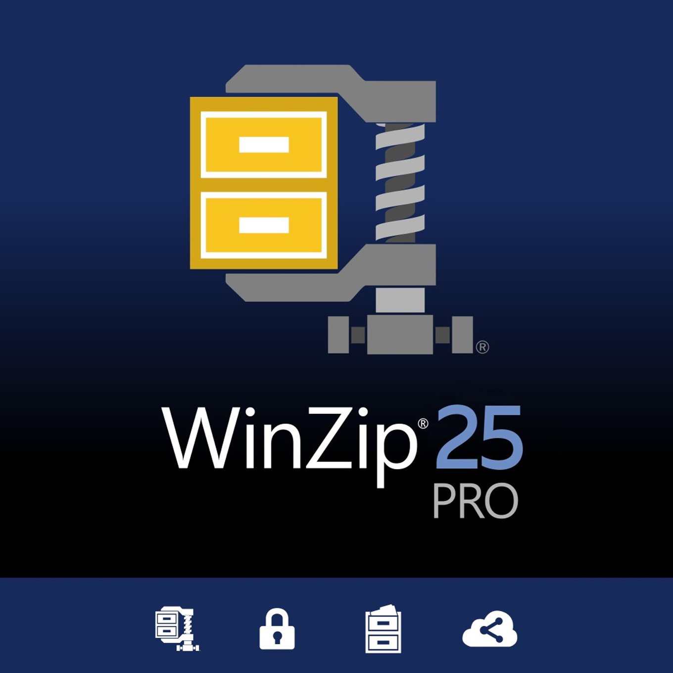 WinZip 25 PRO cena 261,00 zł - SwissBuy24 (SwissSoftware24)